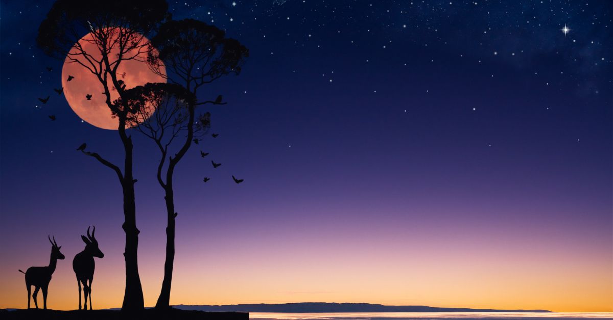 Buck Moon 2025: Why This Summer’s Full Moon Is a Must-See - silentnews.org